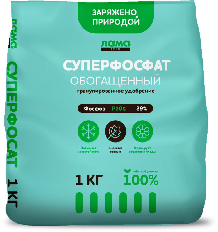 Купить рассаду Суперфосфат обогащенный, 1кг. Рассада цветов с доставкой.