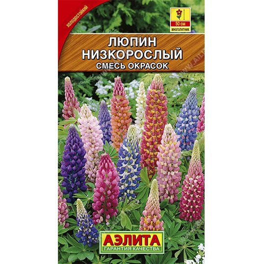 Купить Люпин Низкорослый - Семена в интернет магазине RassadaCity.ru